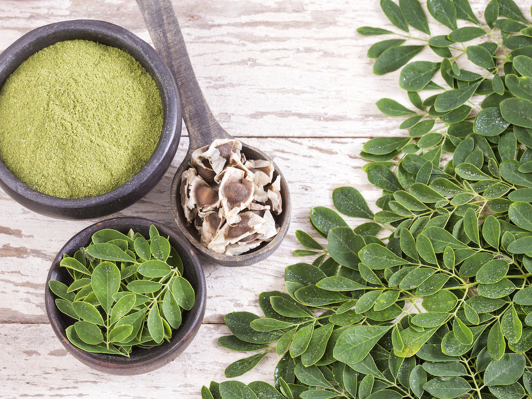 Moringa as a Remedy for Anemia and Low Iron Levels - Kuli Kuli Foods